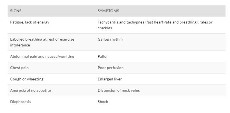 Congestive Heart Failure in Children - Pediatric Medical Experts