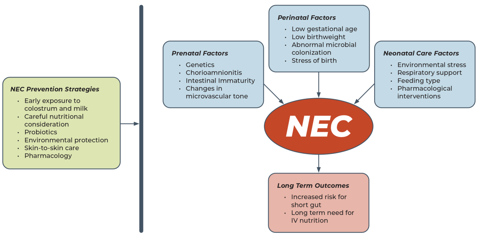 Abdominal Pain Part I: Acute Abdominal Pain, Necrotizing Enterocolitis ...